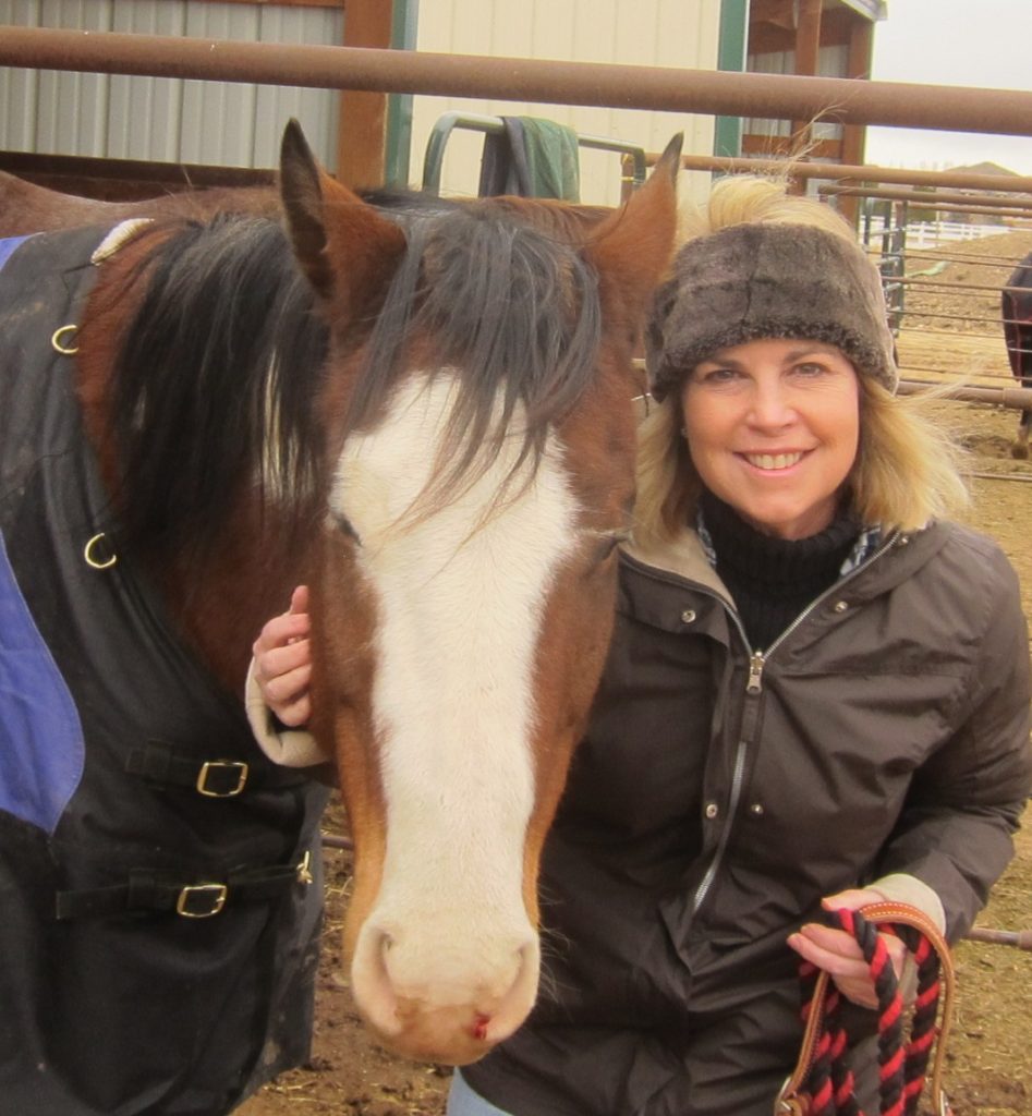 Kathy R. Review pic - CH Equine